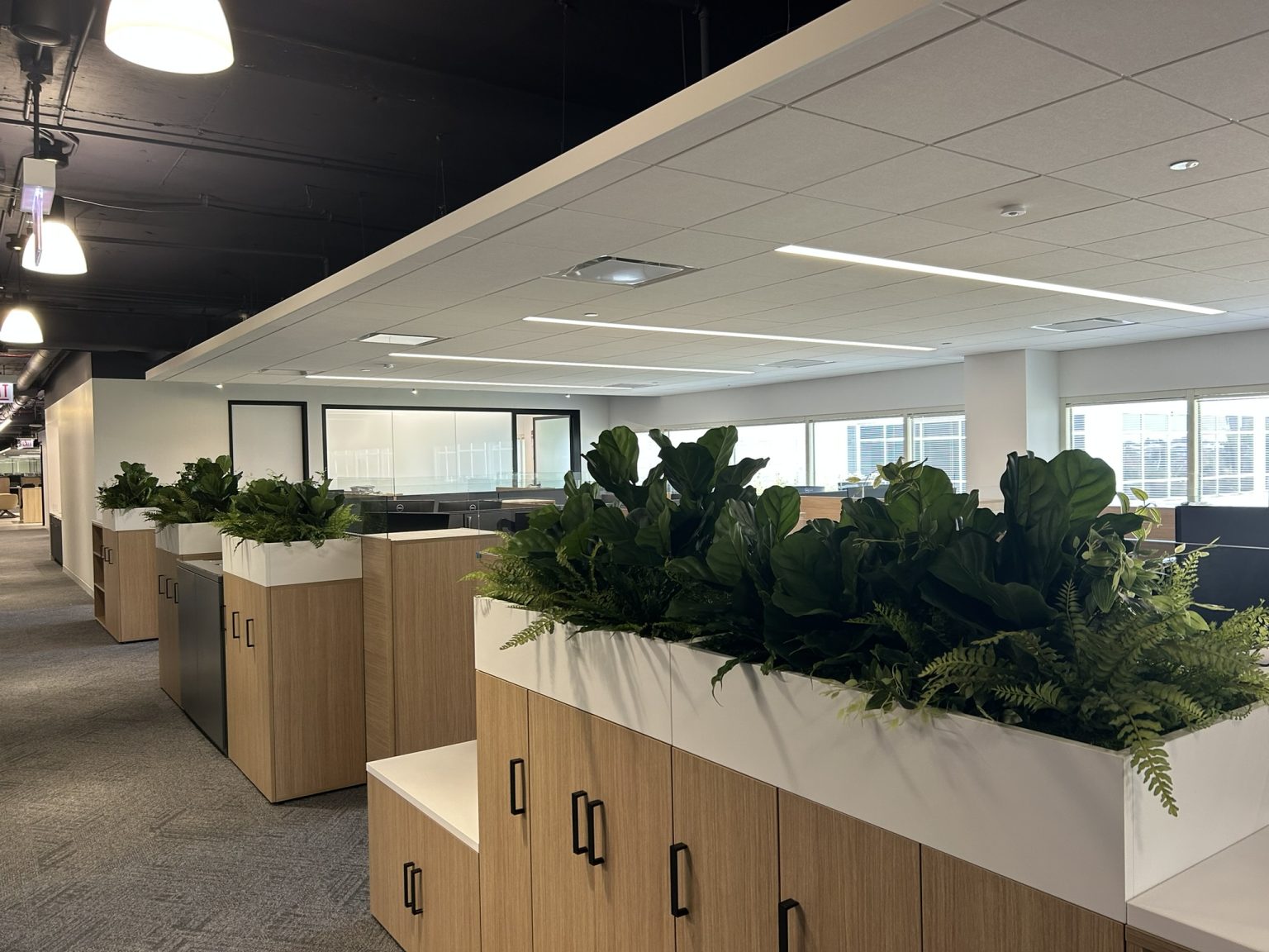 NTN Americas | NTN Headquarters Relocation to Schaumburg Center